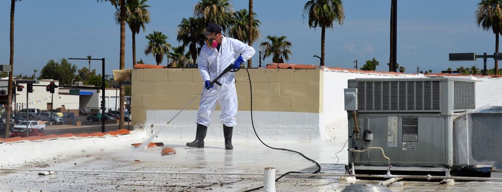 Removal & Cleanup - Pigeon Control Phoenix Arizona
